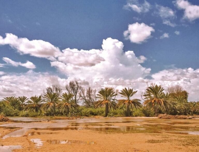Turbat: Balochistan Famous Places To Visit - TravelTute