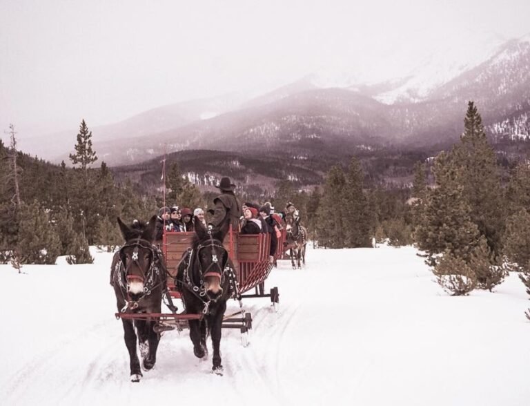 Frisco Adventure Park: Winter Park Tubing Hill, Ski Hill in Colorado