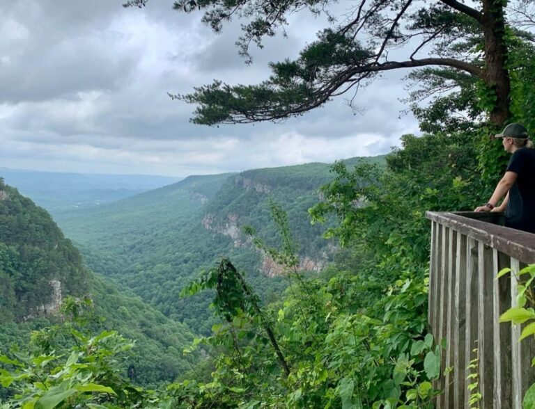 Cloudland Canyon State Park Georgia : Pretty Places in Georgia