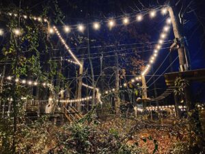 Sandy Spring Adventure Park: Fun Places to go in Maryland