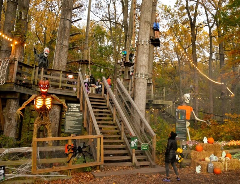 Sandy Spring Adventure Park: Fun Places to go in Maryland