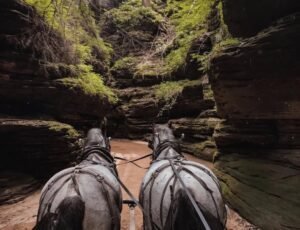 Lost Canyon Cave and Nature Trail: Missouri Trails - TravelTute